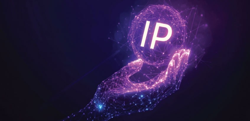 Managing IP Risks - IncFine